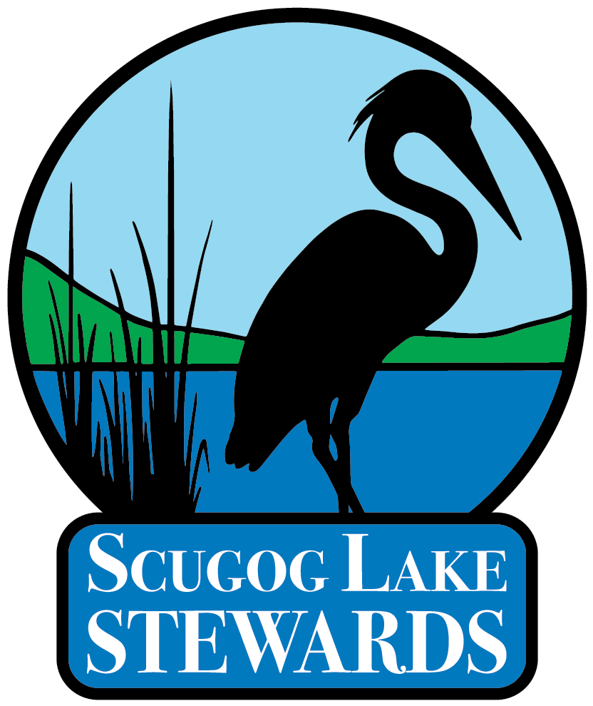 logo - Scugog Lake Stewards